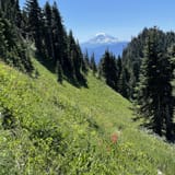 Tatoosh Ridge Trail, Washington - 342 Reviews, Map | AllTrails
