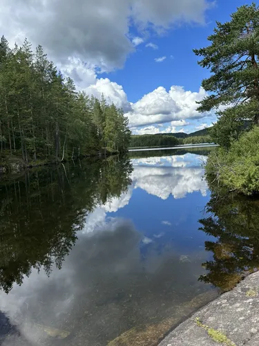 Best 10 Hiking Trails in Nordmarka Forest | AllTrails