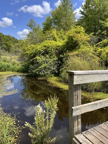 Best Hikes and Trails in Mer Bleue Conservation Area | AllTrails