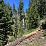 Obsidian Trail, Oregon - 668 Reviews, Map | AllTrails