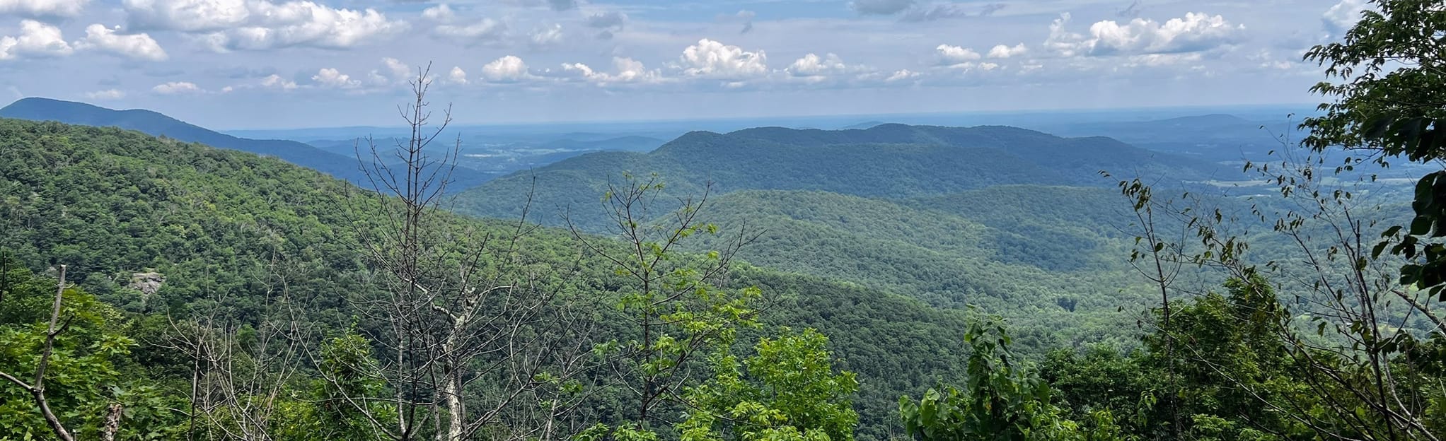 Little Devils Stairs Trail, Virginia - 1,769 Reviews, Map | AllTrails