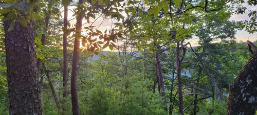 Best Hikes and Trails in Johns Mountain Wildlife Management Area ...