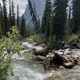 Shadow Lake, Alberta, Canada - 61 Reviews, Map | AllTrails