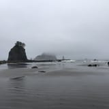 Rialto Beach Trail, Washington - 349 Reviews, Map | AllTrails