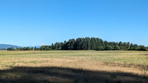 2023 Best Easy Trails in Brush Prairie | AllTrails