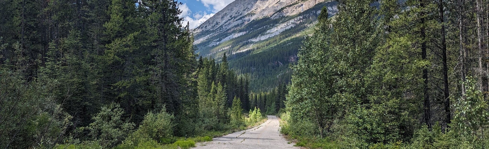 Ross Lake and the Great Divide: 50 foto's - Alberta, Canada | Wandelen ...