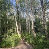 Turtle Rock Loop Trail, Wyoming - 1,056 Reviews, Map | AllTrails