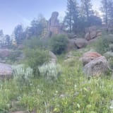 Turtle Rock Loop Trail, Wyoming - 1,056 Reviews, Map | AllTrails