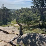 Turtle Rock Loop Trail, Wyoming - 1,056 Reviews, Map | AllTrails