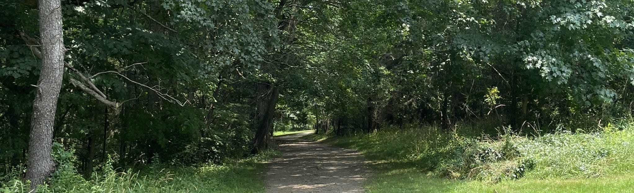 Race Brook, Pine, and Wepawaug Trail, Connecticut - 1,406 Reviews, Map ...