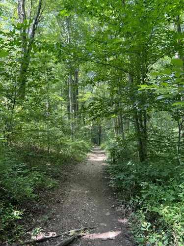 2023 Best Historic Site Trails in Downingtown | AllTrails