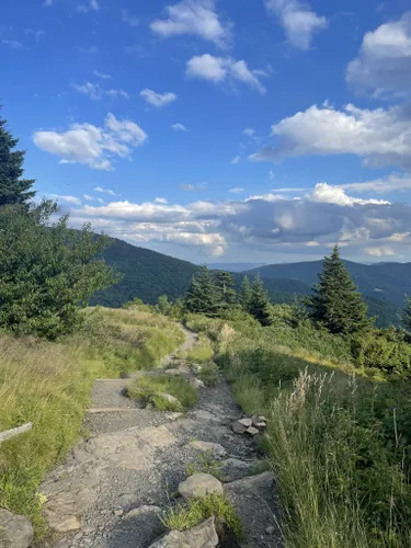 2023 Best 10 Walking Trails in Cherokee National Forest | AllTrails