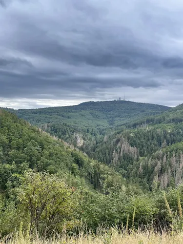 Parc naturel de la Forêt de Thuringe : les 10 meilleures randonnées ...