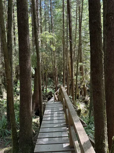 10 Best Hikes and Trails in Pacific Rim National Park Reserve | AllTrails