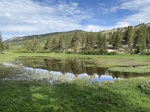 2023 Best Partially Paved Trails in Washoe Valley | AllTrails