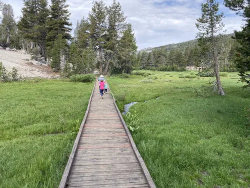 2023 Best Partially Paved Trails in Washoe Valley | AllTrails