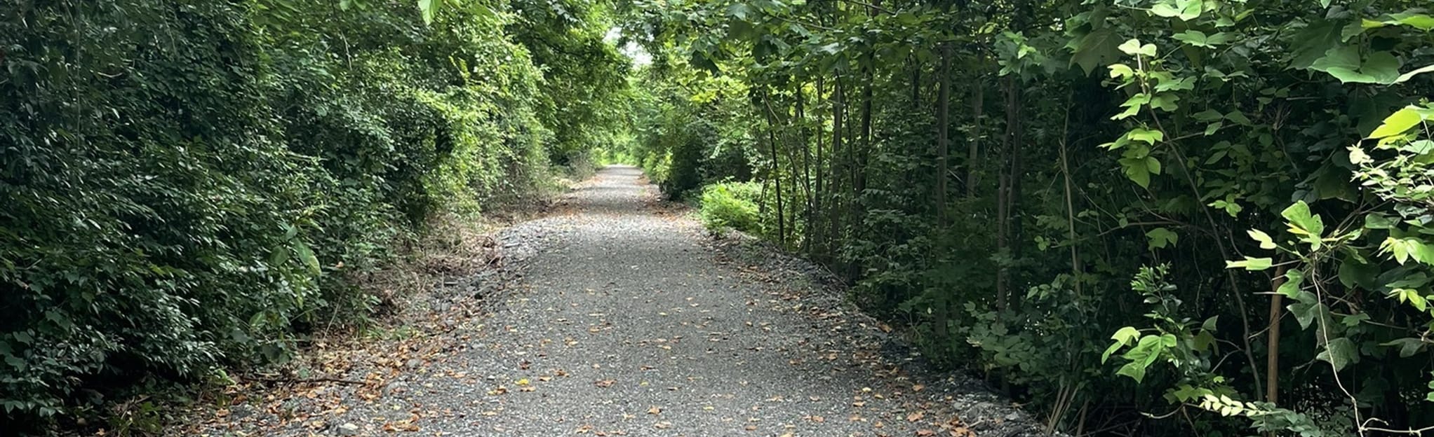 Downtown Greenway Loop, North Carolina - 69 Reviews, Map | AllTrails