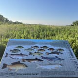 The Boardwalk at Lake Weatherford, Texas - 124 Reviews, Map | AllTrails