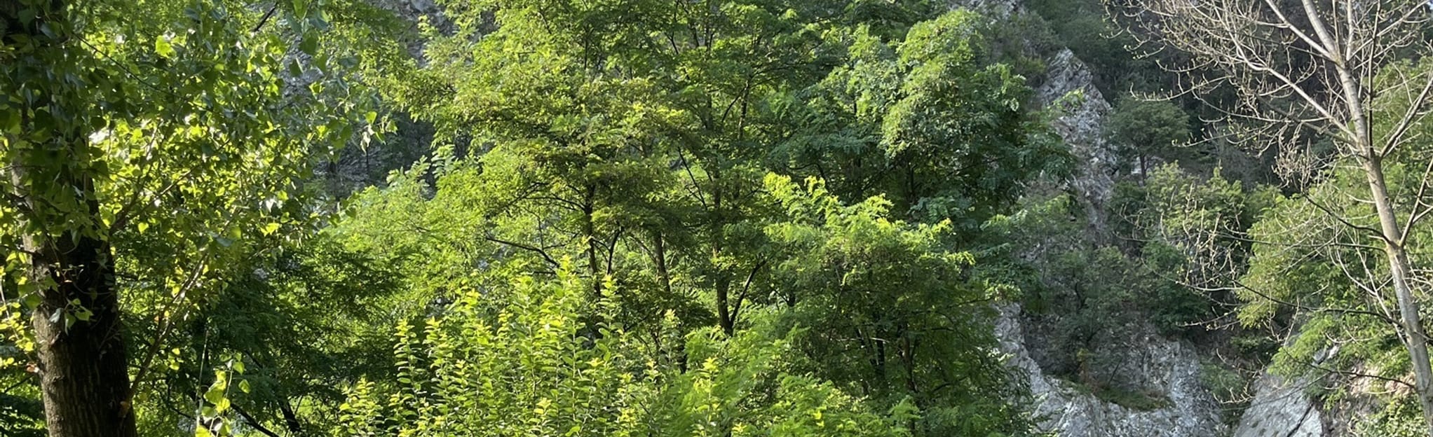 Balerna - Morbio Superiore via Parco delle Gole della Breggia, Ticino ...