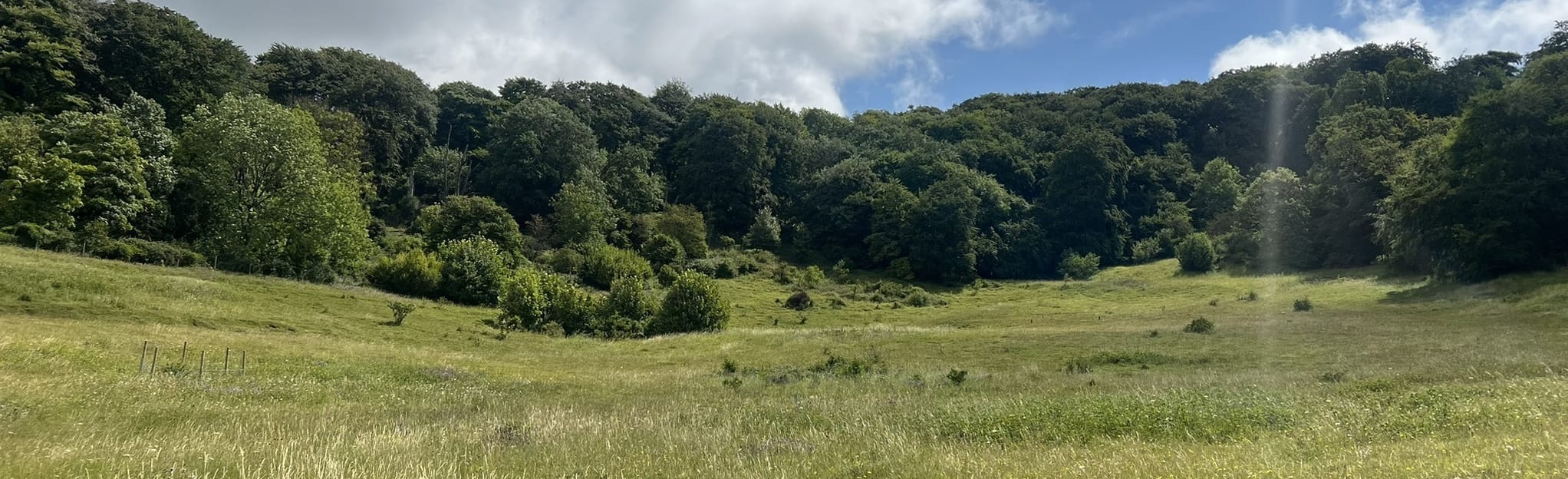 Pulpit Hill Fort and Nature Reserves Circular Walk: 247 Fotos ...