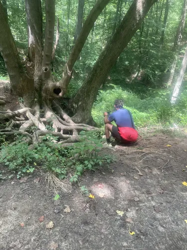 Best Hikes and Trails in Bacon Ridge Natural Area | AllTrails