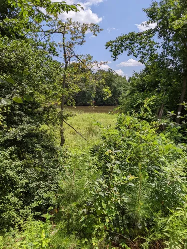 10 Best Trails and Hikes in Dover | AllTrails