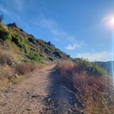 Trippet Ranch to Eagle Springs Loop Trail, California - 779 Reviews ...