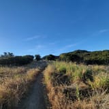 Trippet Ranch to Eagle Springs Loop Trail, California - 779 Reviews ...