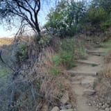 Trippet Ranch to Eagle Springs Loop Trail, California - 779 Reviews ...