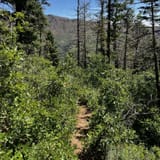 Heizer Trail, Colorado - 972 Reviews, Map | AllTrails