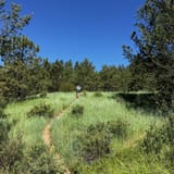 Heizer Trail, Colorado - 972 Reviews, Map | AllTrails