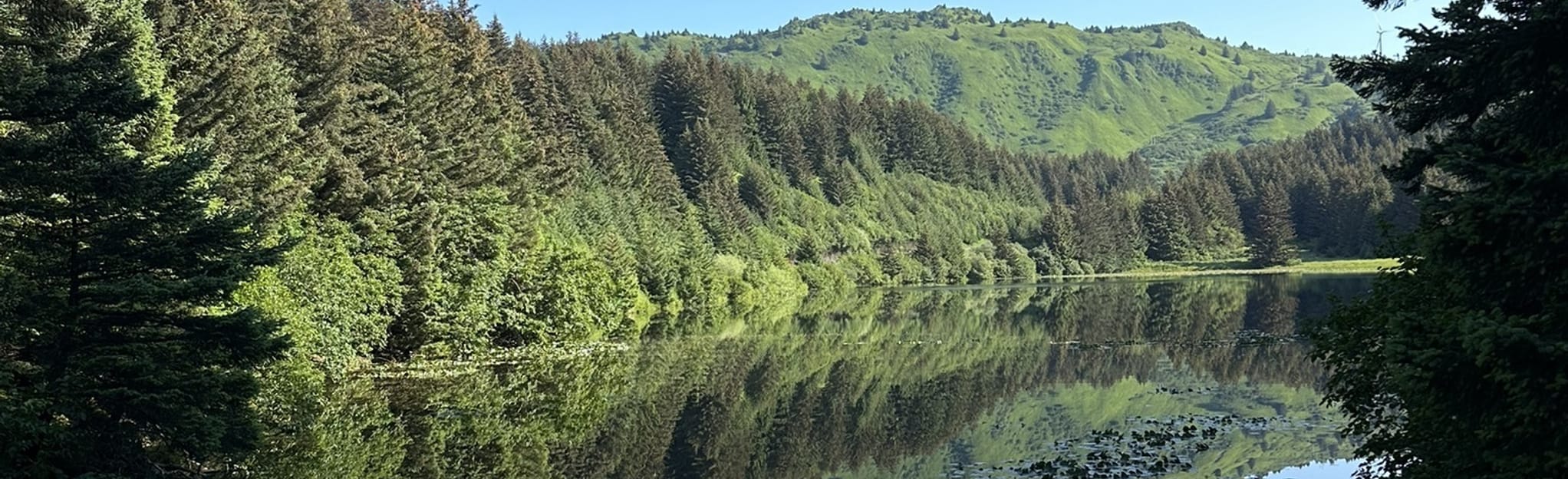 Boy Scout Lake: 71 Reviews, Map - Alaska | AllTrails