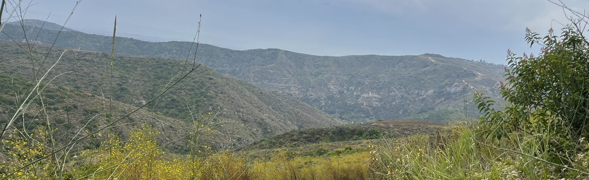 Emerald Canyon and Big Bend Trail Loop via Laguna Bowl Trail: 2.033 ...