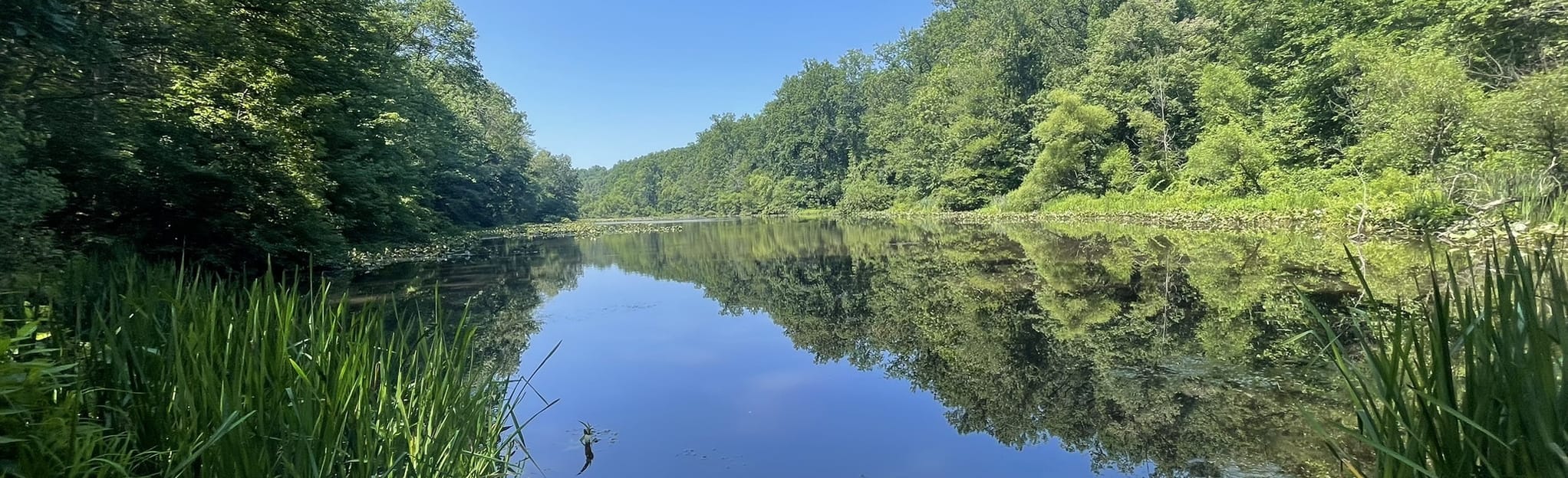 AllTrails | Watchung Reservation History Trail: 2091 Reviews, Map - New ...