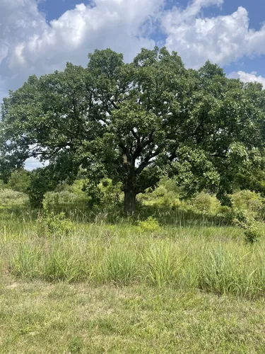 2023 Best Easy Trails in Yellow Banks Park | AllTrails