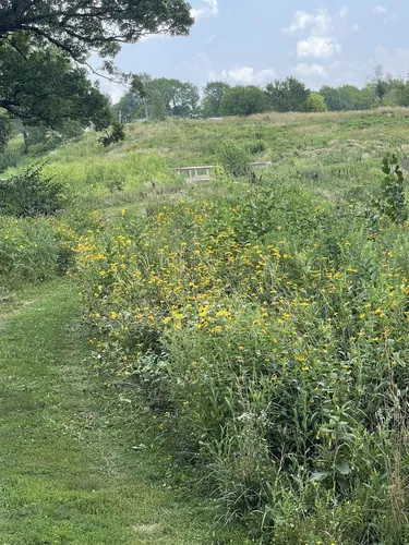 2023 Best Easy Trails in Yellow Banks Park | AllTrails