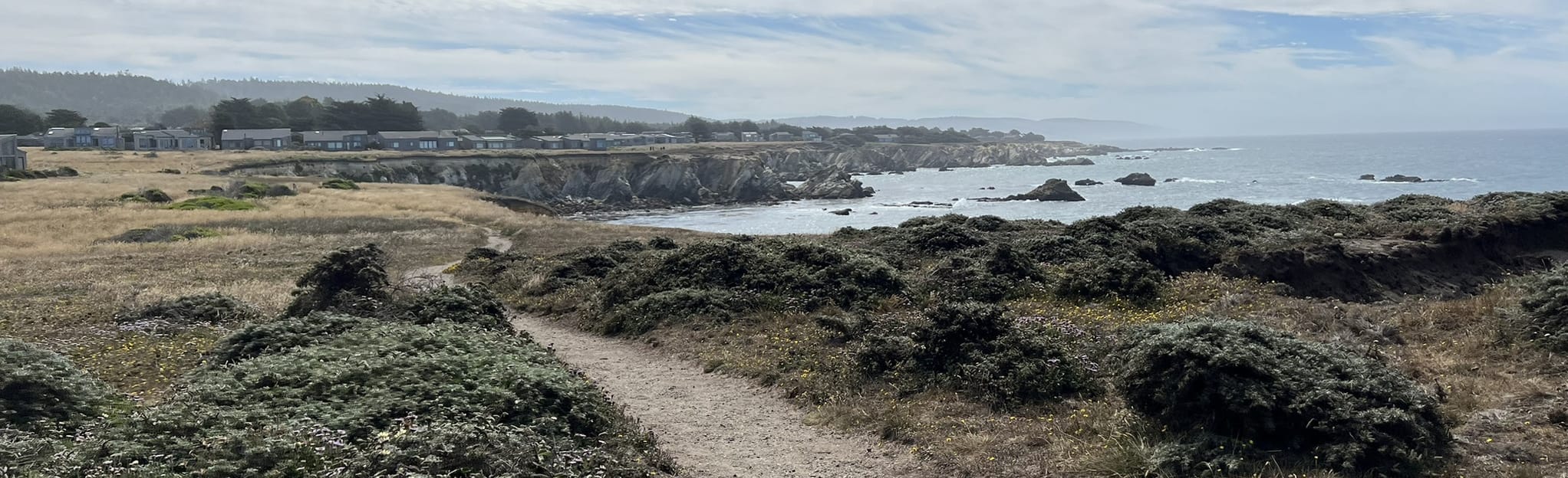 Coastal Bluff Trail to Sea Pine Beach, California - 477 Reviews, Map ...