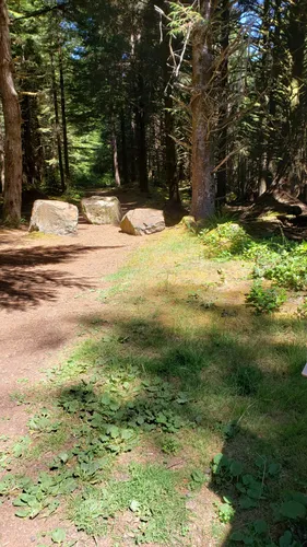 Best Hikes and Trails in Agnes Creek Open Space | AllTrails