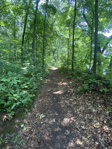 2023 Best Kid Friendly Trails in Three Rivers | AllTrails