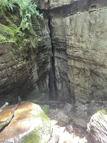 2023 Best Trails, Walks, and Paths in Gurley | AllTrails