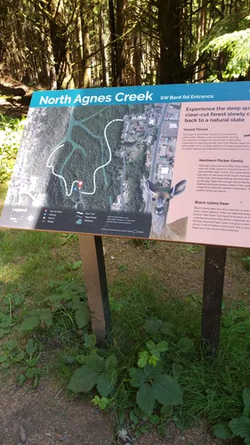 Best Hikes and Trails in Agnes Creek Open Space | AllTrails