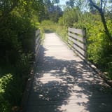 Devils Lake Boardwalk Trail, Oregon - 45 Reviews, Map | AllTrails