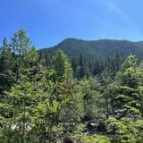 Skookum Flats Trail, Washington - 840 Reviews, Map | AllTrails