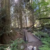 Skookum Flats Trail, Washington - 840 Reviews, Map | AllTrails