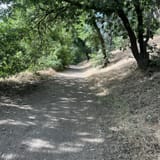 Oak Glen Preserve Trails, California - 727 Reviews, Map | AllTrails