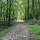 The Pinnacle, Pennsylvania - 558 Reviews, Map | AllTrails