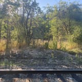 Portland River Loop Trail, Oregon - 828 Reviews, Map | AllTrails