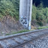 Portland River Loop Trail, Oregon - 629 Reviews, Map | AllTrails