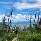 Thunderhead Hiking Trail, Colorado - 761 Reviews, Map | AllTrails