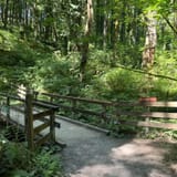 Tryon Creek Triple Bridge Loop, Oregon - 1,356 Reviews, Map | AllTrails